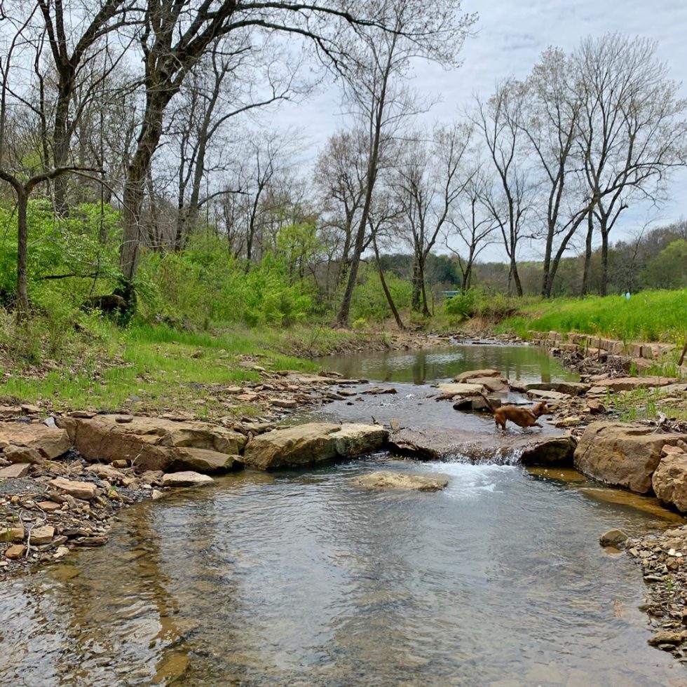What We Do | Beaver Watershed Alliance