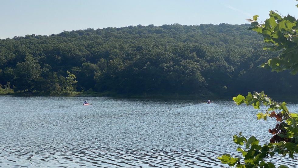 Lake Wilson Cleanup & Native Plant Walk | Beaver Watershed Alliance